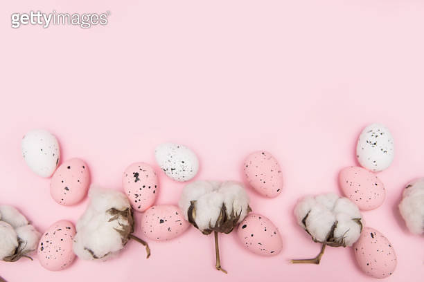 Easter background, pink quail eggs on pink background, decorated with cotton, flat lay, empty ...