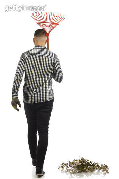 Young man is walking and holding leaf rake on a shoulder. Rear view ...