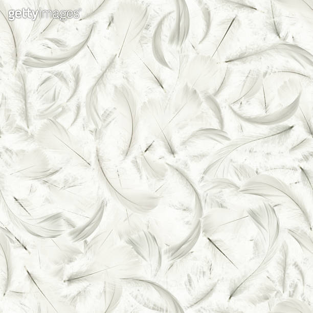 Feather seamless. Pastel angel feather closeup texture falling on white ...