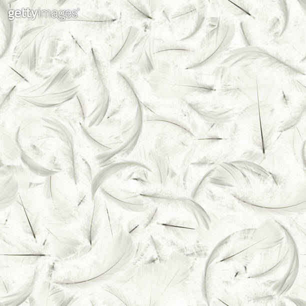 Feather isolated. Abstract bird feather texture closeup falling on ...