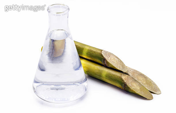 Ethanol with sugar cane, Alternative fuel alcohol, Brazilian biofuel ...