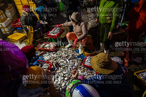 The fish market at the harbor of Hoi An in Vietnam, 이미지 (1351003978 ...