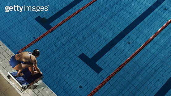 Beautiful Female Swimmer Diving in Swimming Pool. Professional Athlete ...