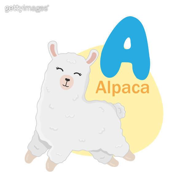 Animals alphabet. Cute alpaca isolated on white background. Vector ...