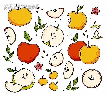 Doodle style color set of different apples and apple slices. Line ...