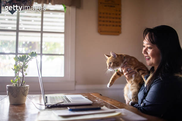 Mature Filipino Businesswoman Working from Home with Cat 이미지 ...