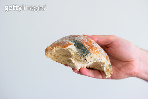 Caucasian male hand holding a moldy spoiled piece of bread. Close up ...