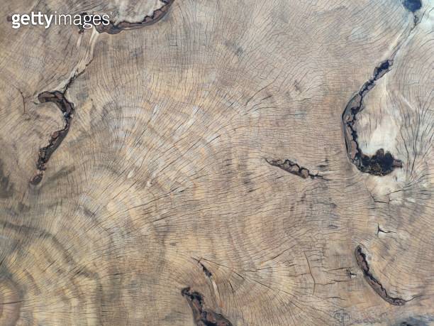 background structure of an old sawn linden tree. Tree rings old ...