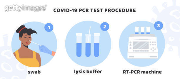 Covid-19 PCR test procedure. A doctor in latex gloves takes nasal swab ...