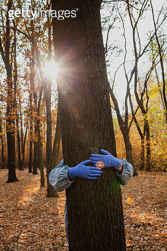 Hands in rubber gloves hug tree trunk 이미지 (1345357005) - 게티이미지뱅크