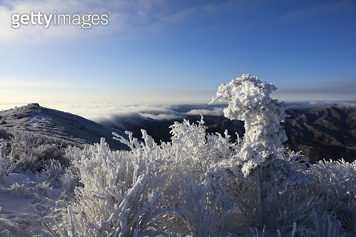 Gangwon-do Taebaeksan Mountain Dazzling Sanggodae and Snow Scenery 이미지 ...