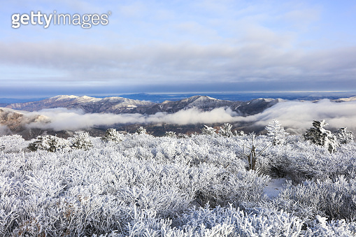 Gangwon-do Taebaeksan Mountain Dazzling Sanggodae and Snow Scenery 이미지 ...