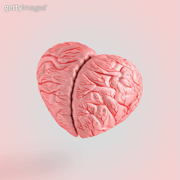 2022. Minimal love symbol scene made of orange-pink heart-shaped brain ...