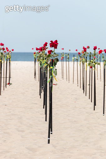 Red rose in the sand of Copacabana beach in Rio de Janeiro. 이미지 ...