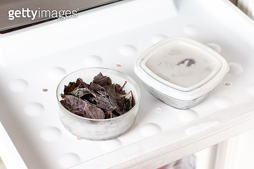 Frozen leaves of basil in the freezer. Frozen vegetables. Concept of ...