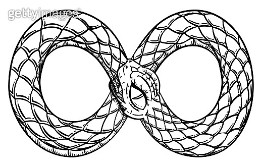A Snake Eating its Tail in an Infinite Loop (1347542763) - 게티이미지뱅크