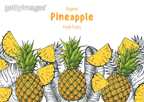 Pineappple hand drawn package design. Pineapple frame template. Vector ...