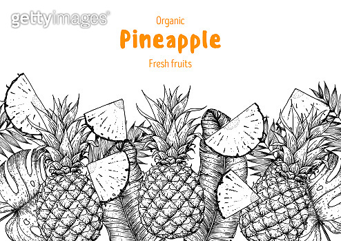 Pineappple hand drawn package design. Pineapple frame template. Vector ...