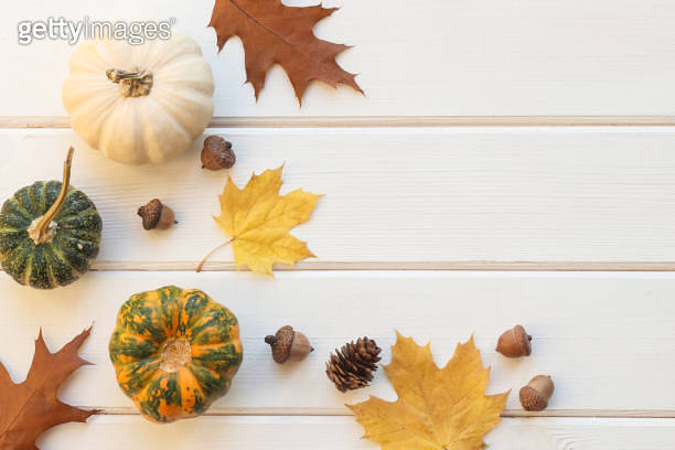 Autumn rustic composition with pumpkins, acorns and leaves on the wooden table with copy space ...