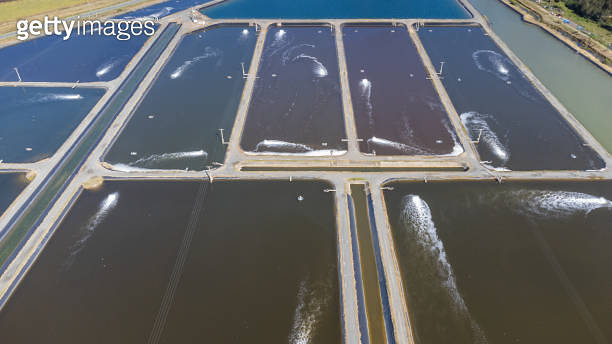 Aquaculture ponds used for large-scale fish and prawn farming ...