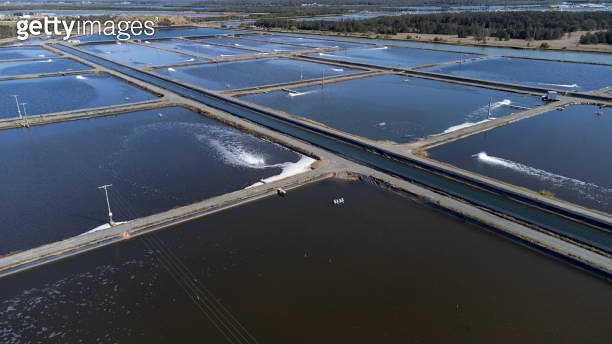 Aquaculture ponds used for large-scale fish and prawn farming ...