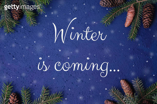 Winter is coming text on new year background with christmas tree branch ...