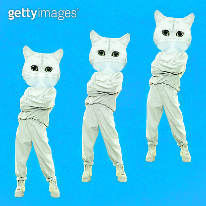 Contemporary art concept collage. Pandemic cats keep social distance ...