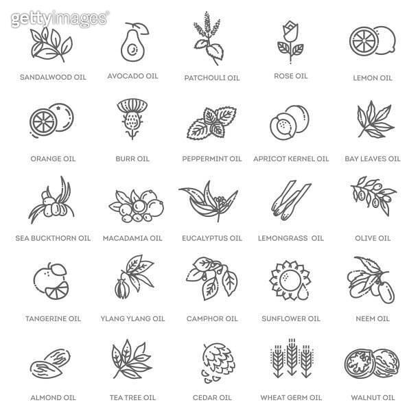 Vector set of natural ingredients and oils for cosmetics in linear ...