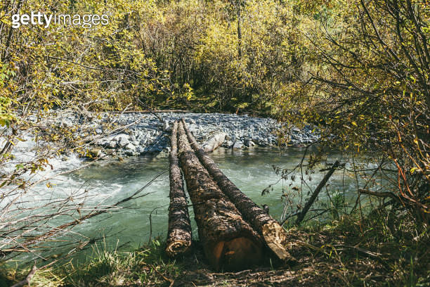 Scenic landscape with log bridge over mountain river in wild autumn ...