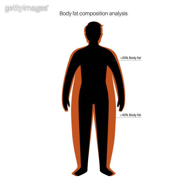 Body fat composition 이미지 (1359908835) - 게티이미지뱅크