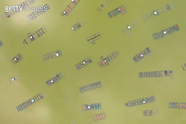 Aerial view of local fishing trap net in canel with fisherman home ...