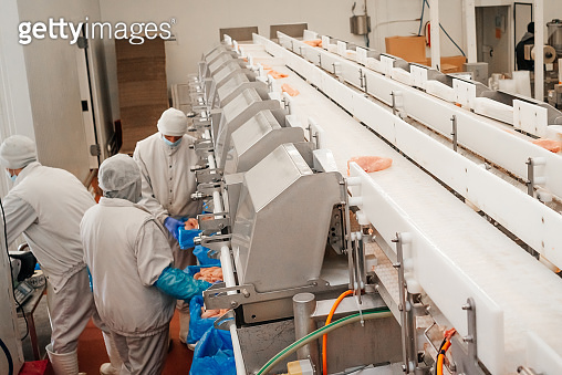 Chicken fillet production line . Factory for the production of food ...