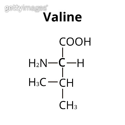 Valine amino acid. Chemical molecular formula of valine amino acid ...