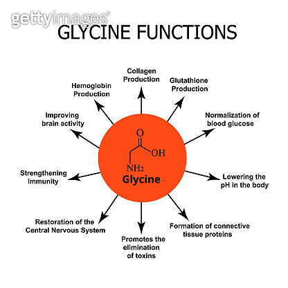 The functions of glycine. Amino acid glycine chemical molecular formula ...
