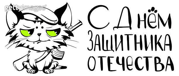 Happy Defender of Fatherland text translation Russian. Cute angry cat ...