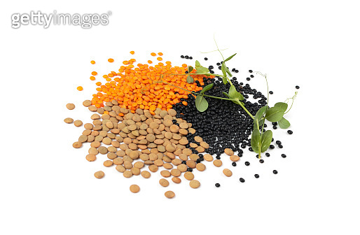 Raw Dry Lentils, Lentil Grains, Dal, Daal, Dhal, Masoor (1320775750 ...