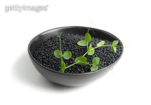 Raw Dry Lentils, Lentil Grains, Dal, Daal, Dhal, Masoor 이미지 (1320642470 ...