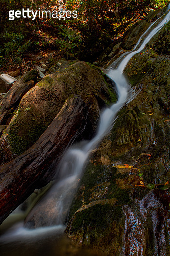 Cascading waterfall in the Blue Ridge mountains 이미지 (1355144719) - 게티이미지뱅크