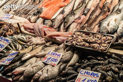 Fresh fish and seafood on Mercado Central market in the center of ...