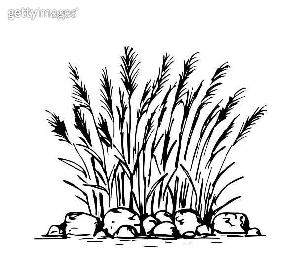 Simple hand-drawn vector drawing in black outline. Lake shore, river ...