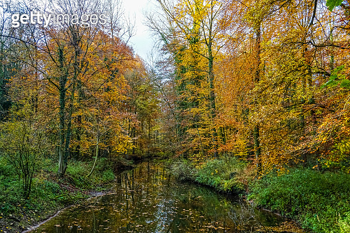 A lake in good weather in autumn. The name is "Bagno". 이미지 (1347536632 ...