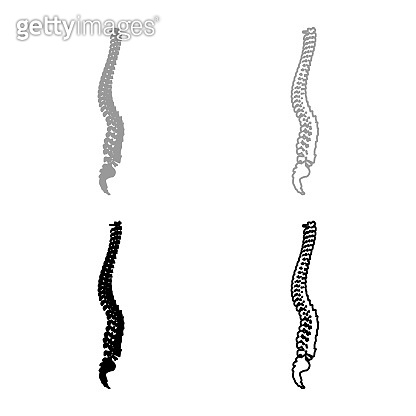 Spinal vertebral column spine backbone set icon grey black color vector ...