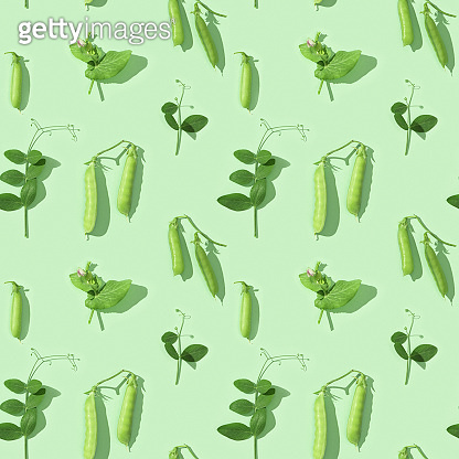 Pods of green peas with pea leaves. Organic healthy food. Pattern from ...