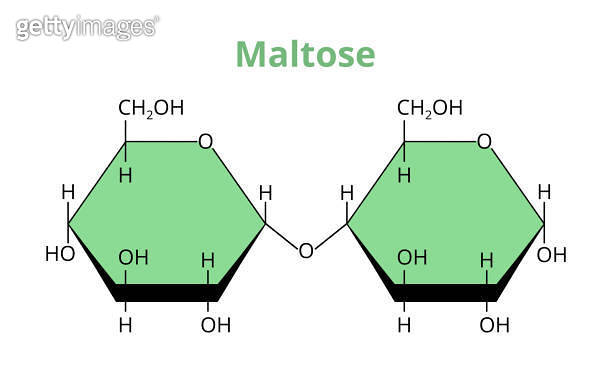 2D vector molecular structure of the disaccharide or oligosaccharide ...