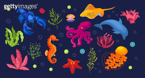 Sea and ocean underwater animals with marine flora. Seahorse, stingray ...