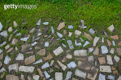 transition of paved surfaces between paving and lawn. the lawn grows ...