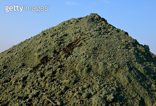 stabilization of slopes by hydro sowing. a mixture of wood pulp and ...
