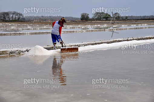 Salt farmer workers carrying salt at salt field on Madura, East Java ...