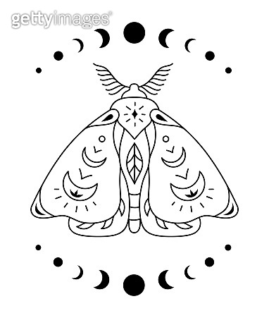 Boho outline butterfly. Vector mystical moth. Celestial insect. 이미지 ...