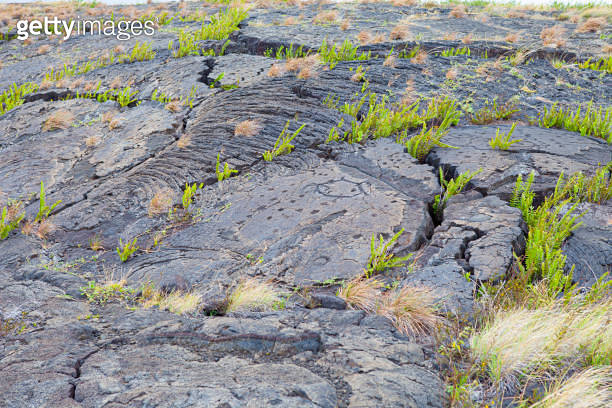 Pu‘uloa Petroglyphs Big island Hawaii 이미지 (1355533151) - 게티이미지뱅크